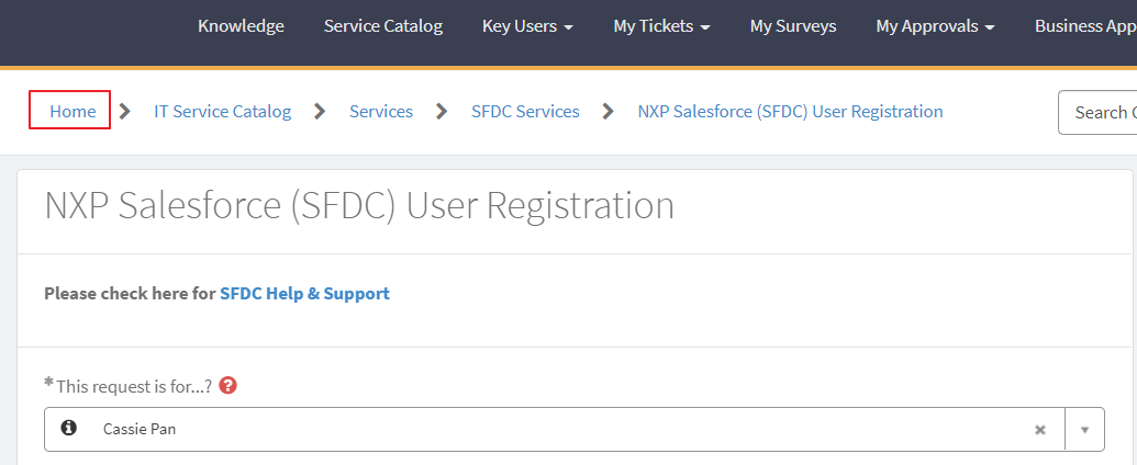 Salesforce Access and User Registration